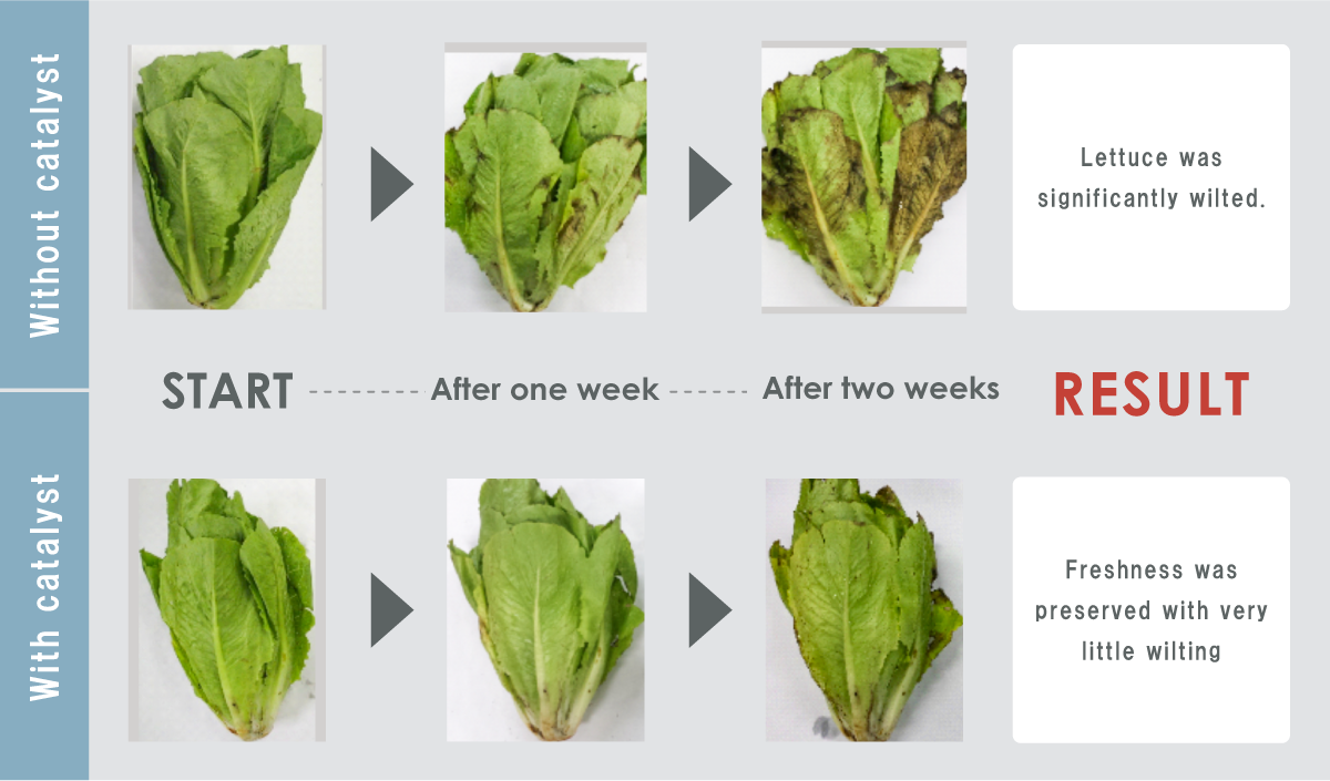Freshness Retention Catalyst (Ethylene Removal) - Nikki-Universal Co., Ltd.